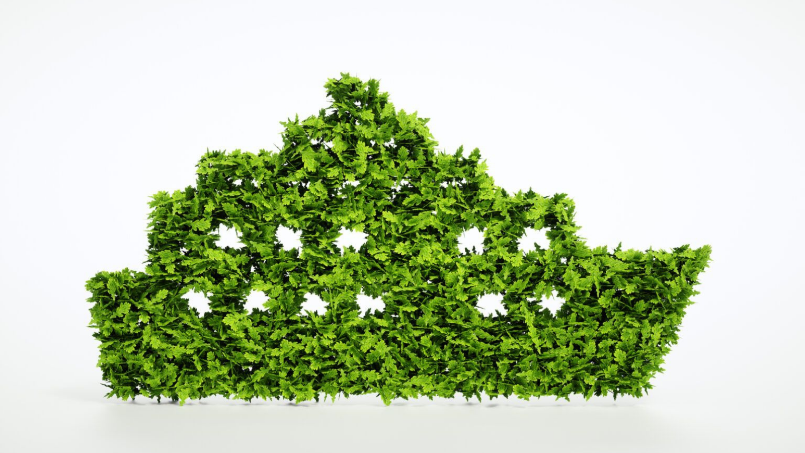 22 países buscan crear corredores marítimos verdes parareducir el ...