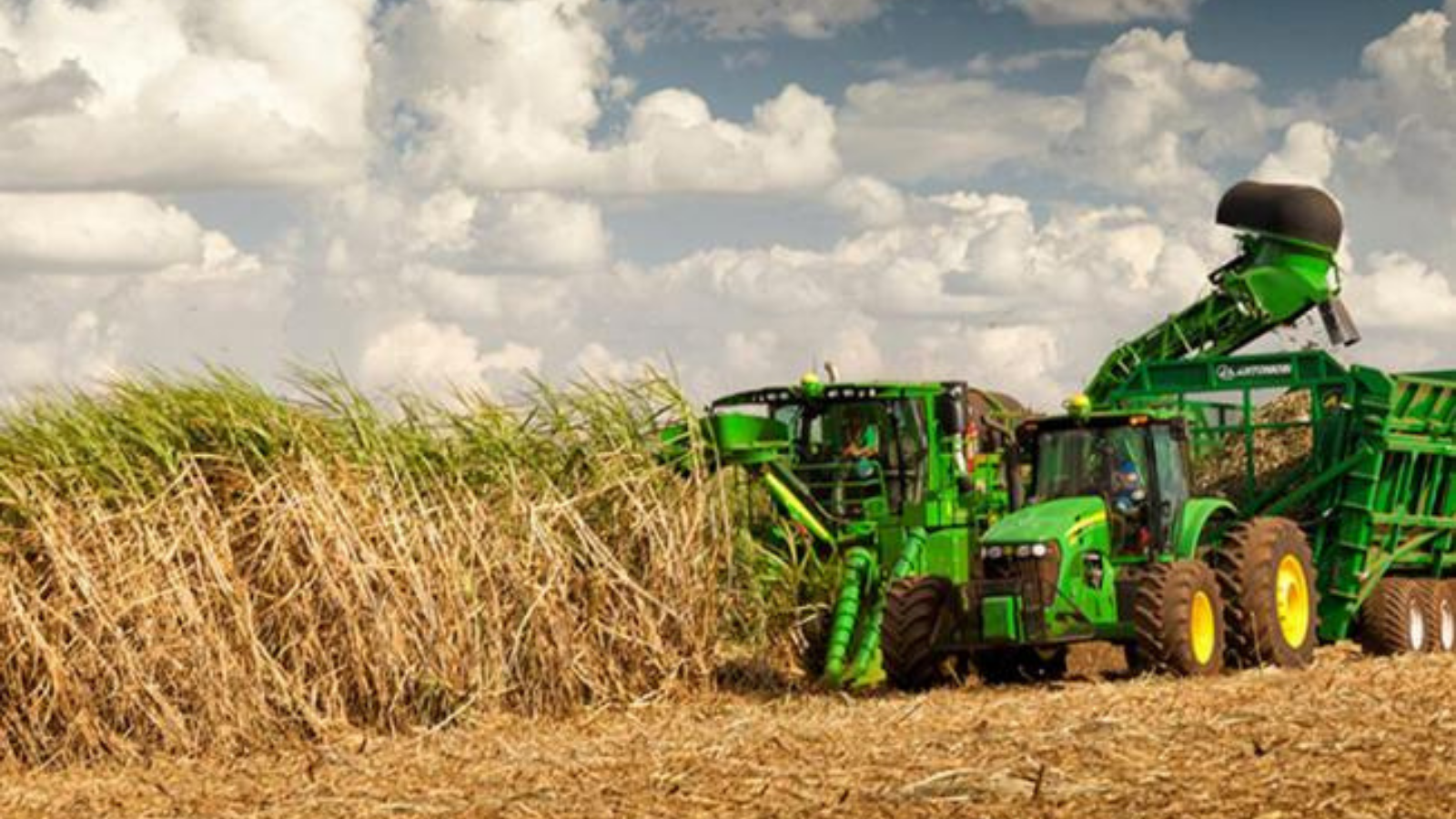 Tucumán es el epicentro del negocio azucarero en Argentina >